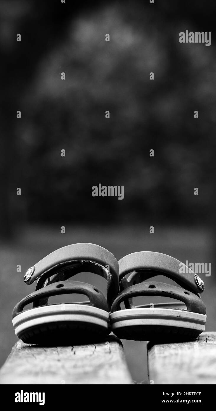 Vertical shot of a pare of crocs sandals on a dock shot in grayscale ...