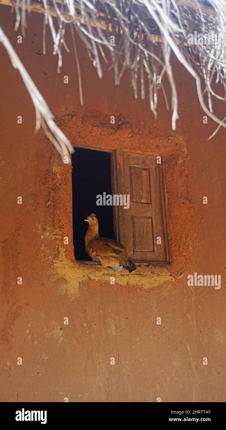 Montepuez mozambique hi-res stock photography and images - Alamy