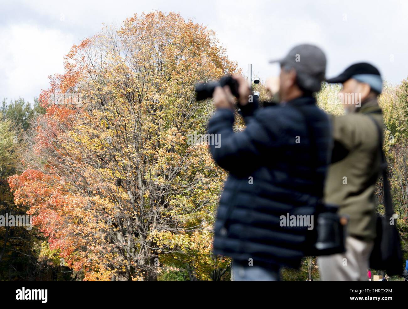 People take photos of the fall colours on Mount Royal in Montreal ...