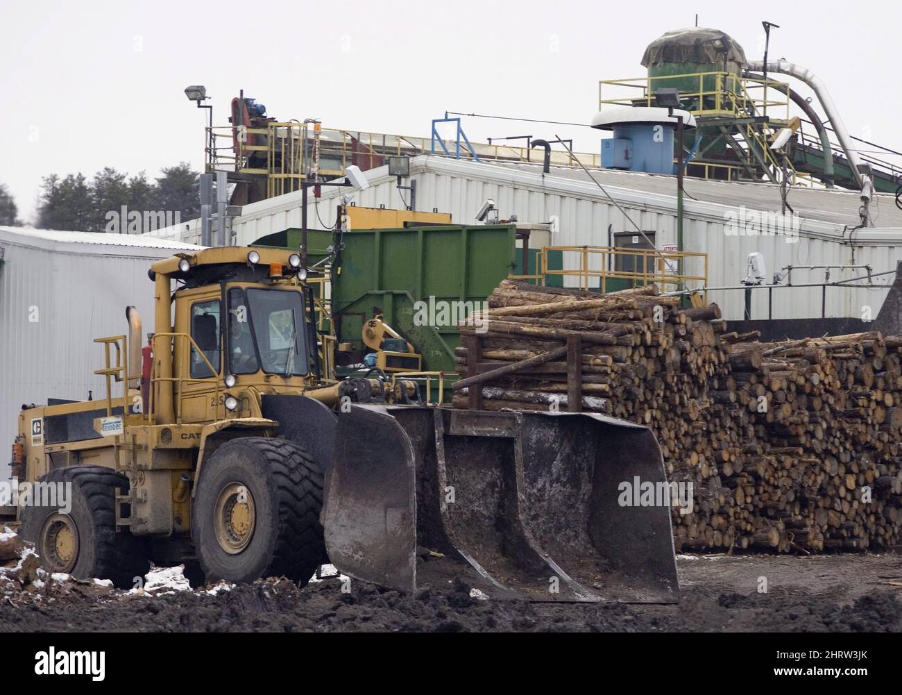 The Tembec softwood lumber plant in operation Thursday Nov 13, 2008 in ...
