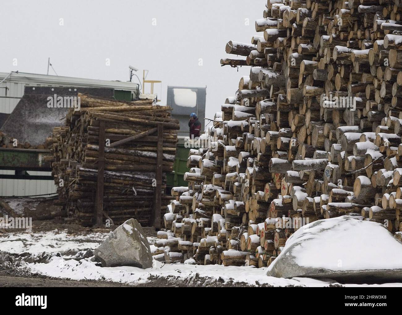 The Tembec softwood lumber plant in operation Thursday Nov 13, 2008 in ...