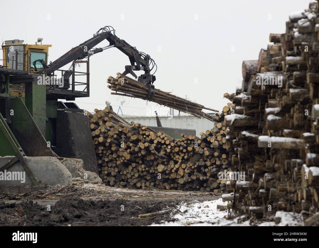 The Tembec softwood lumber plant in operation Thursday Nov 13, 2008 in ...