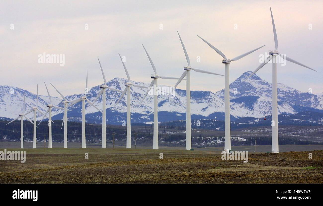 A wind farm catches the wind and produces environmentally friendly ...