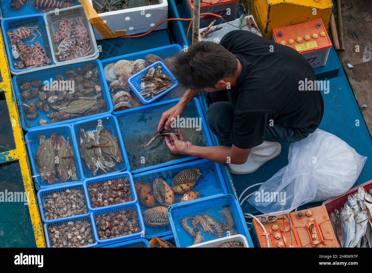 Local fisherman sells catch from small boat at seawall of Sai Kung ...