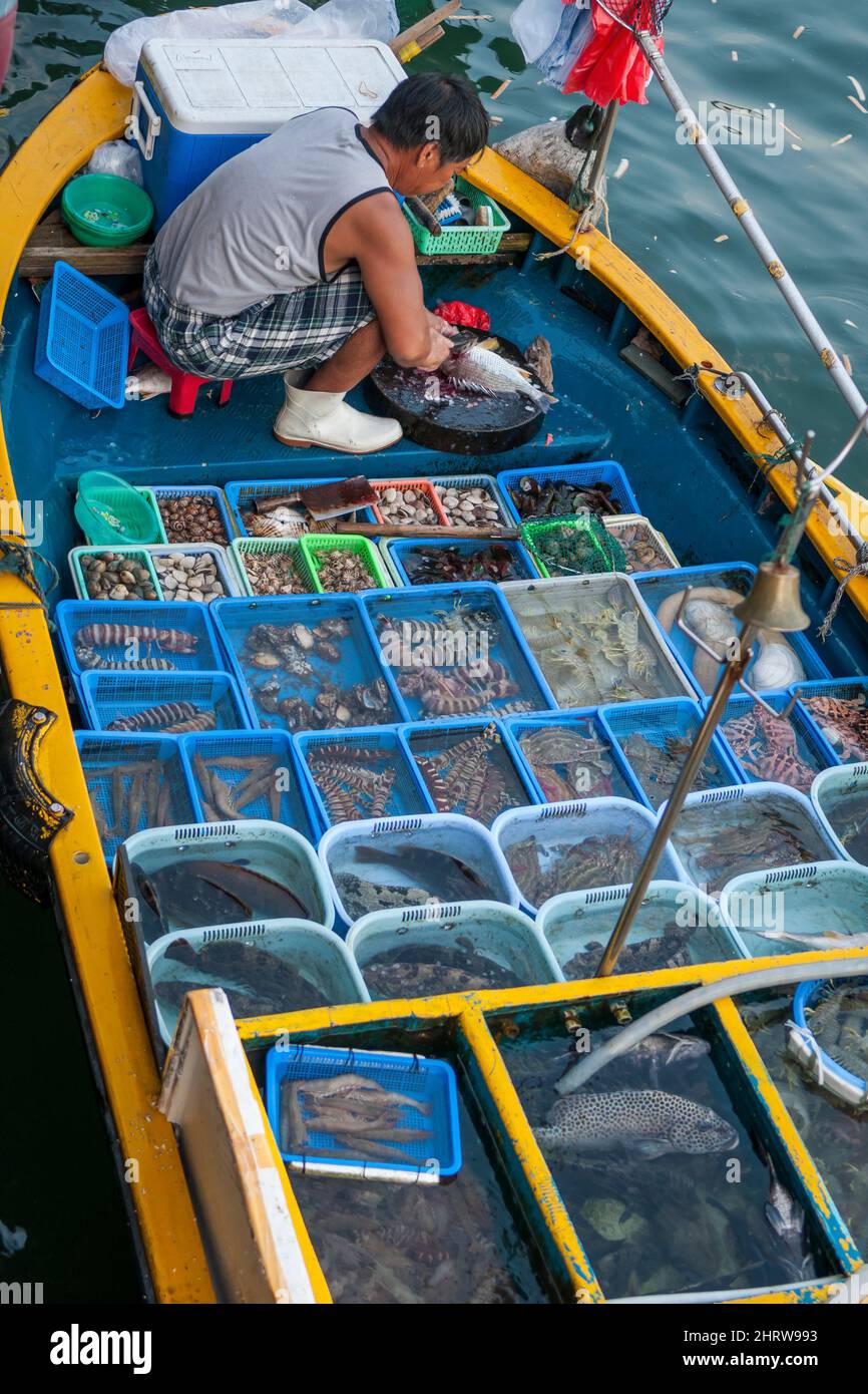 Local fisherman sells catch from small boat at seawall of Sai Kung ...