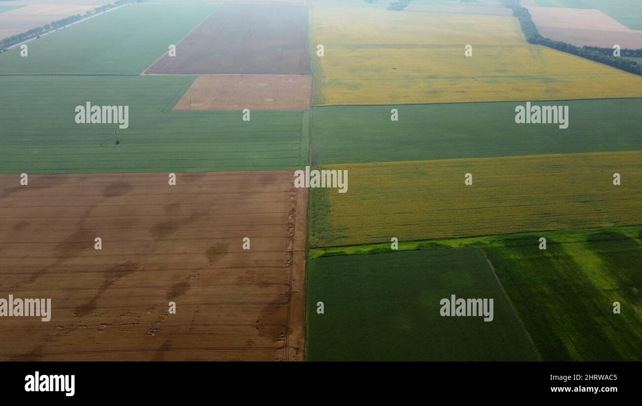 Drone shot above fields wheat hi-res stock photography and images - Alamy