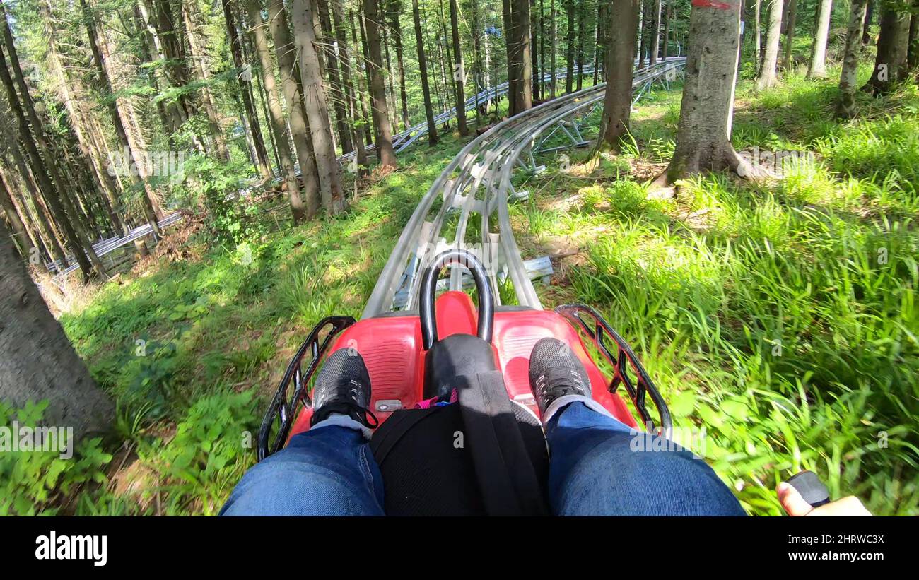 Person rides in fast rodelbahn sledding in mountains in woods among ...