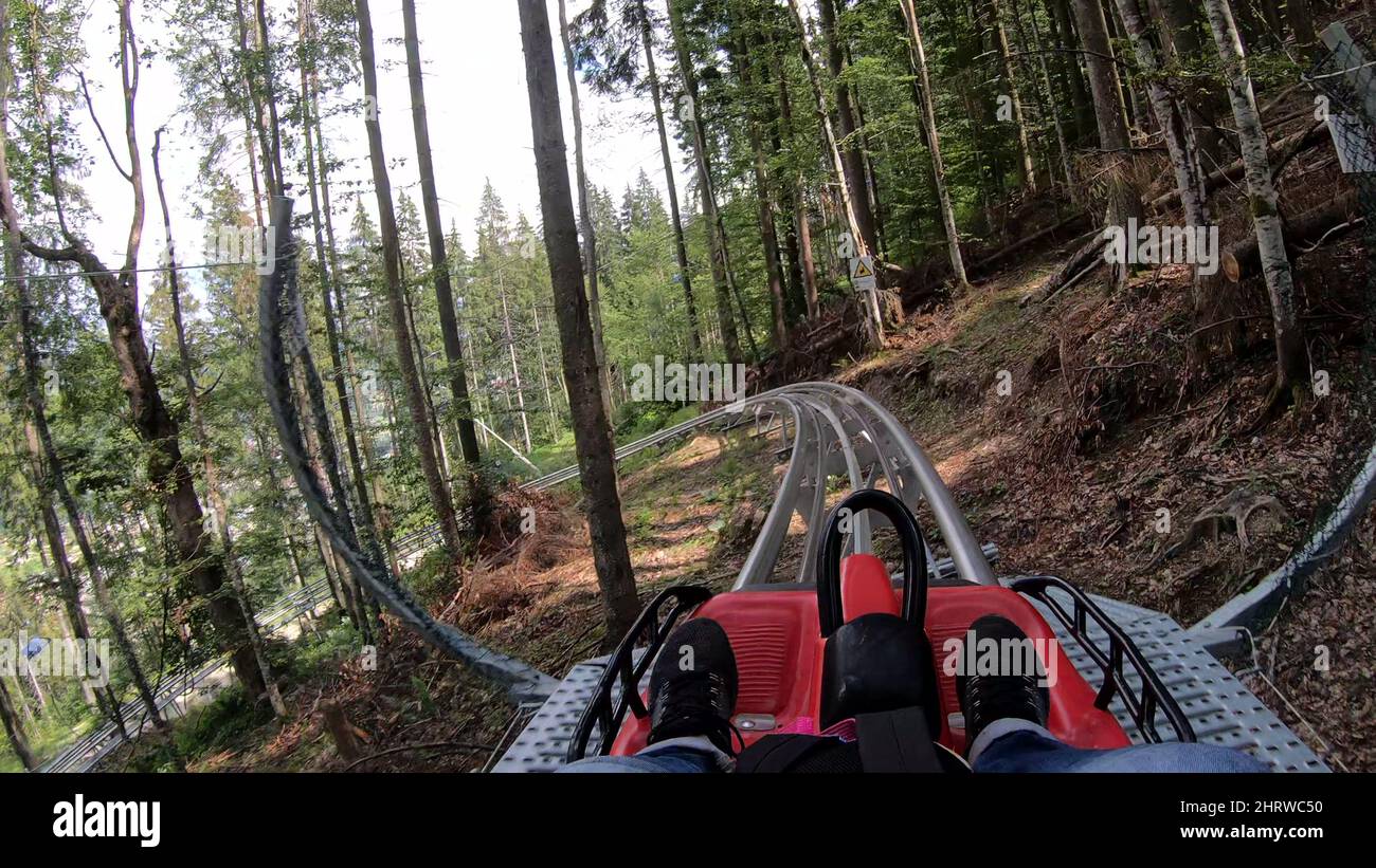 Person rides in fast rodelbahn sledding in mountains in woods among ...