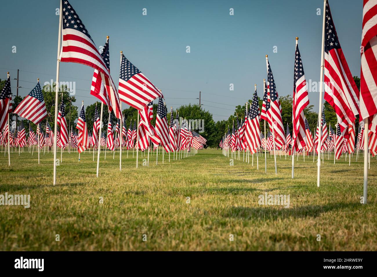 Flag posts with the waving flags of the United States on a sunny day ...