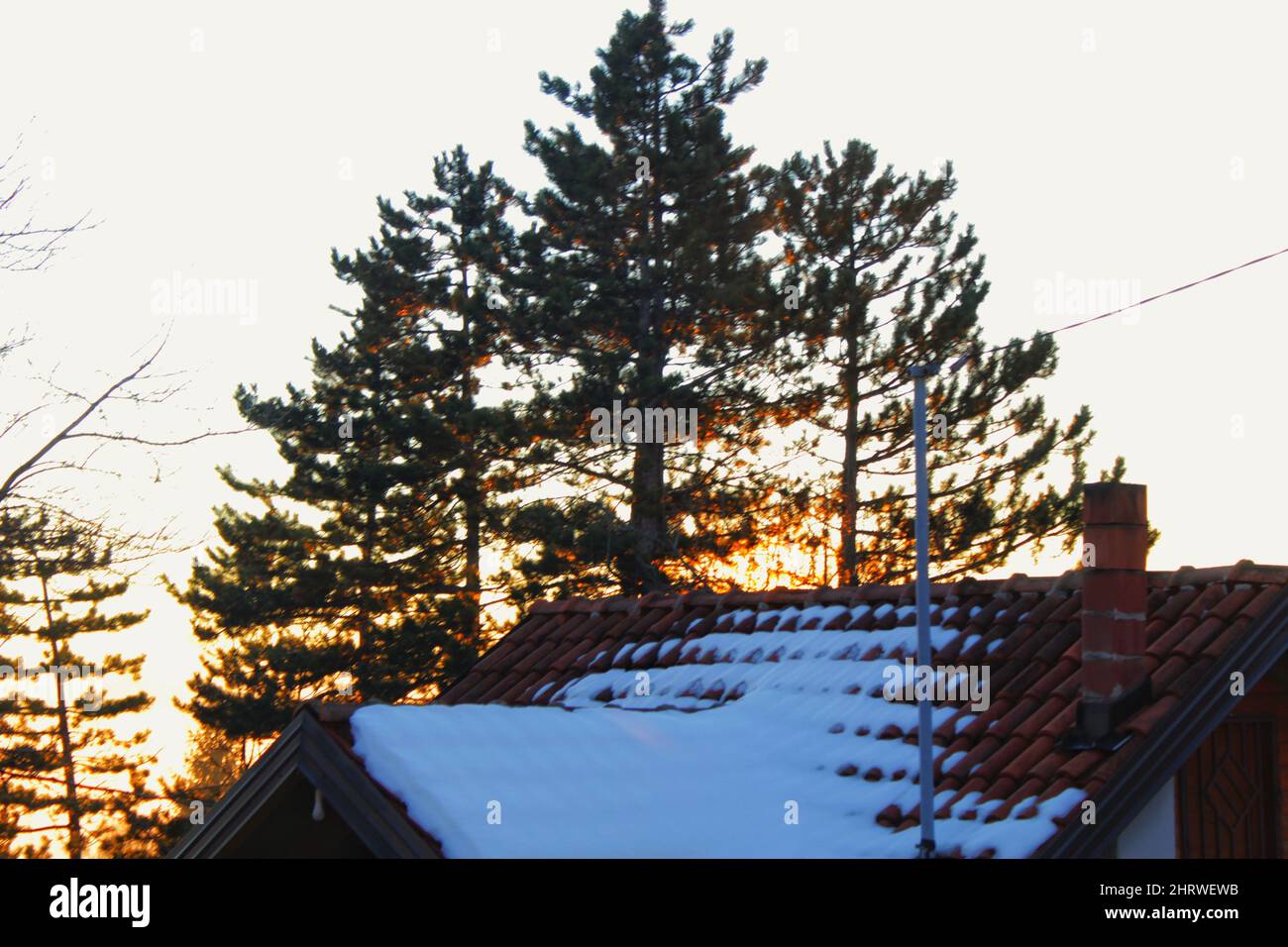 Beautiful shot of a resort roof view and high forest trees Stock Photo ...