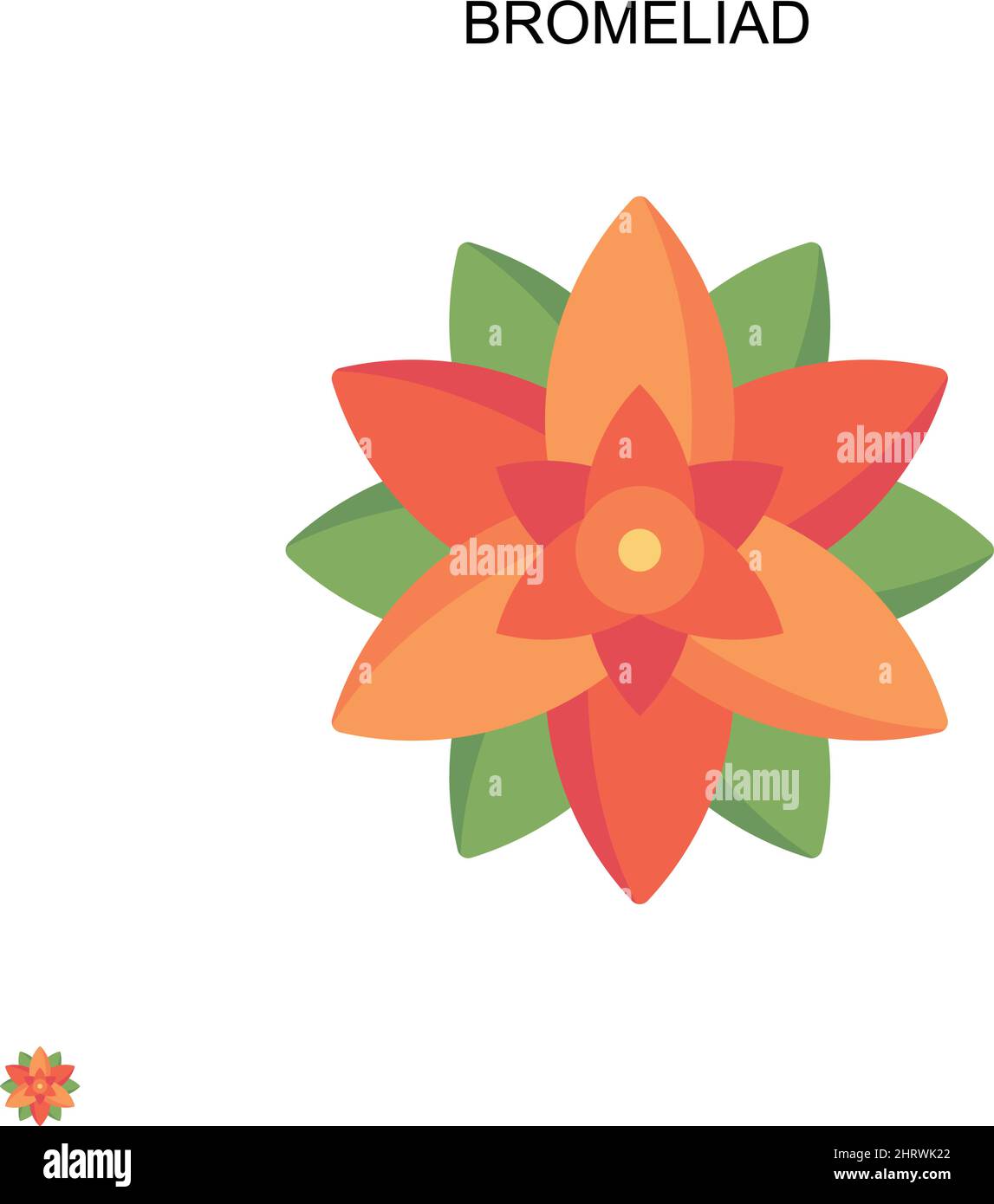 Orange bromeliad Stock Vector Images - Alamy