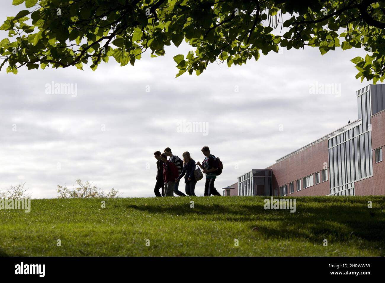 Waterloo campus High Resolution Stock Photography and Images - Alamy