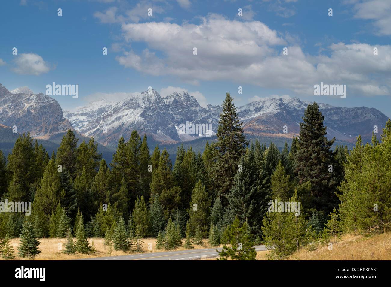 mountains with green tree line in front of them Stock Photo - Alamy