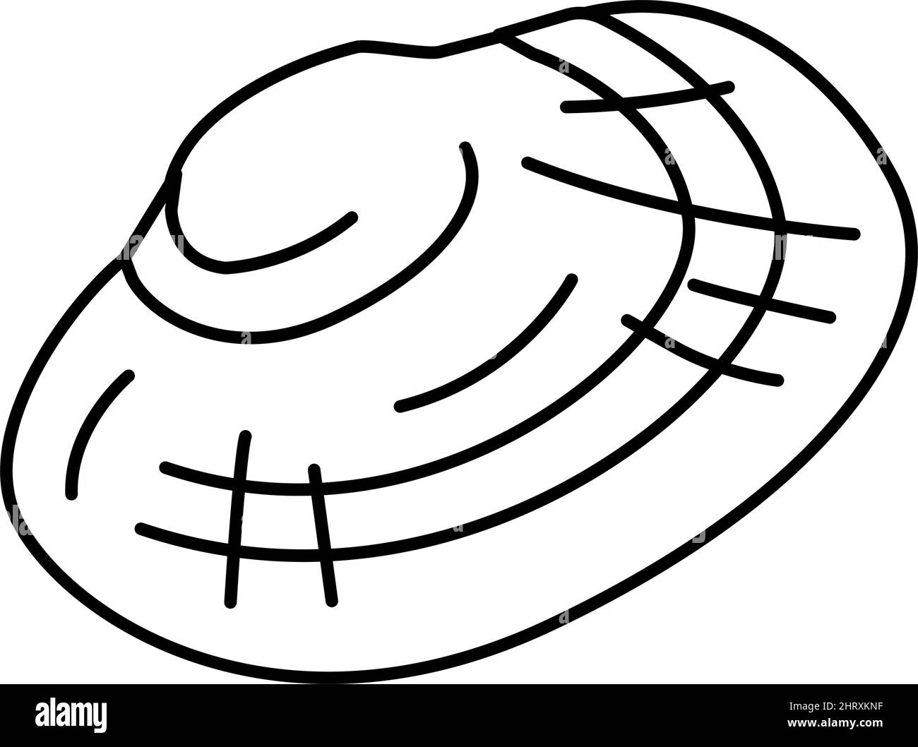 manila clam line icon vector illustration Stock Vector Image & Art - Alamy