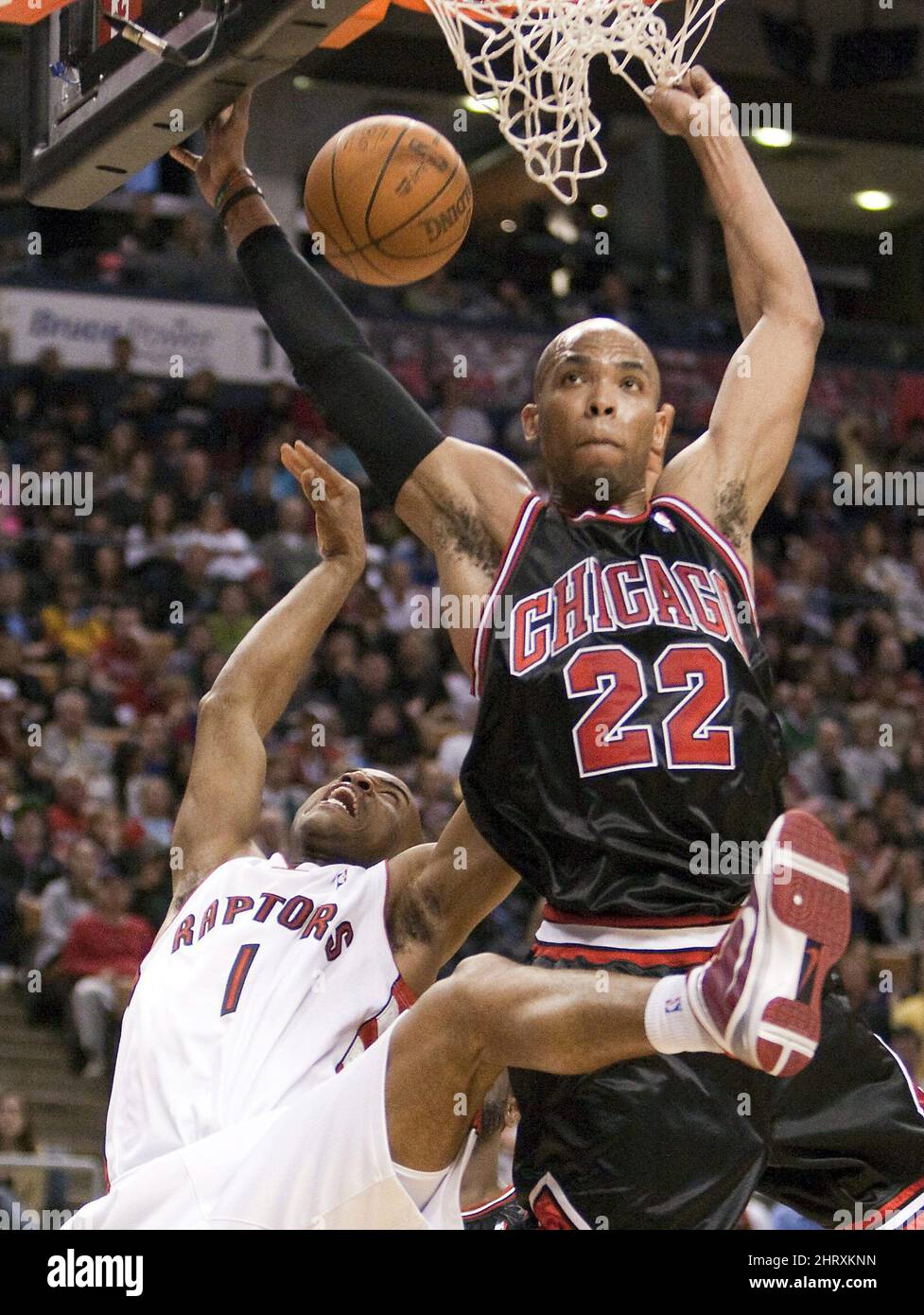 Jarrett Jack Raptors