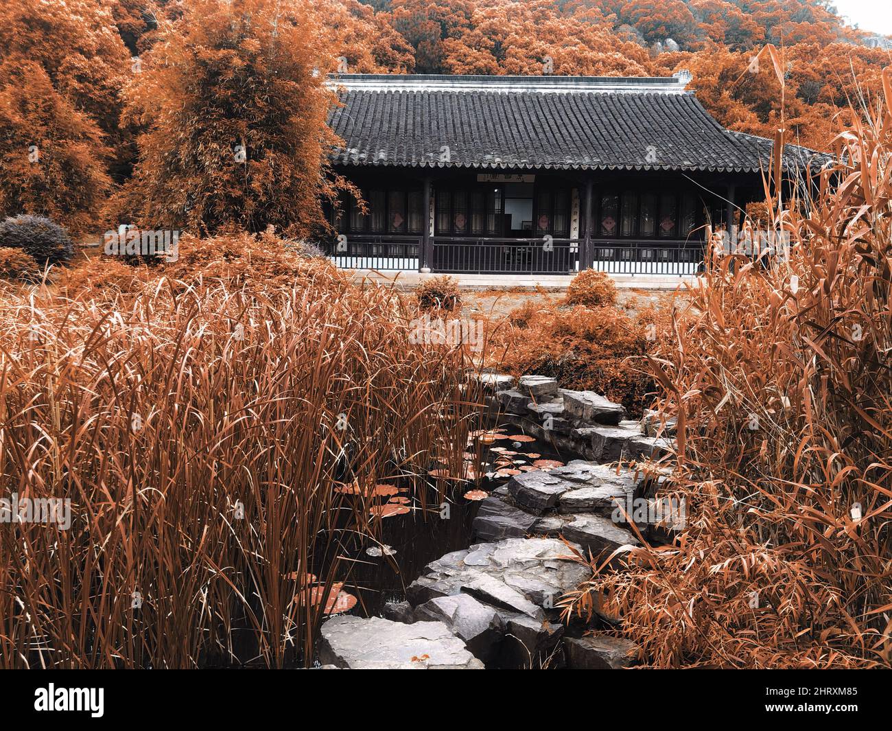 Stone path leading to a traditional Chinese house with trees and ...