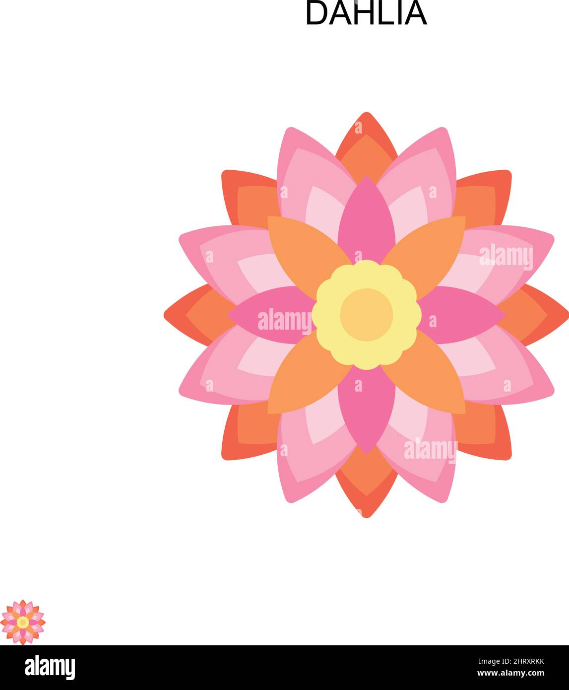 Dahlia tuber plant Stock Vector Images - Alamy