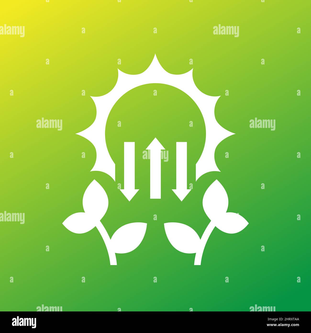 photosynthesis icon with sun and plant, vector Stock Vector Image & Art ...