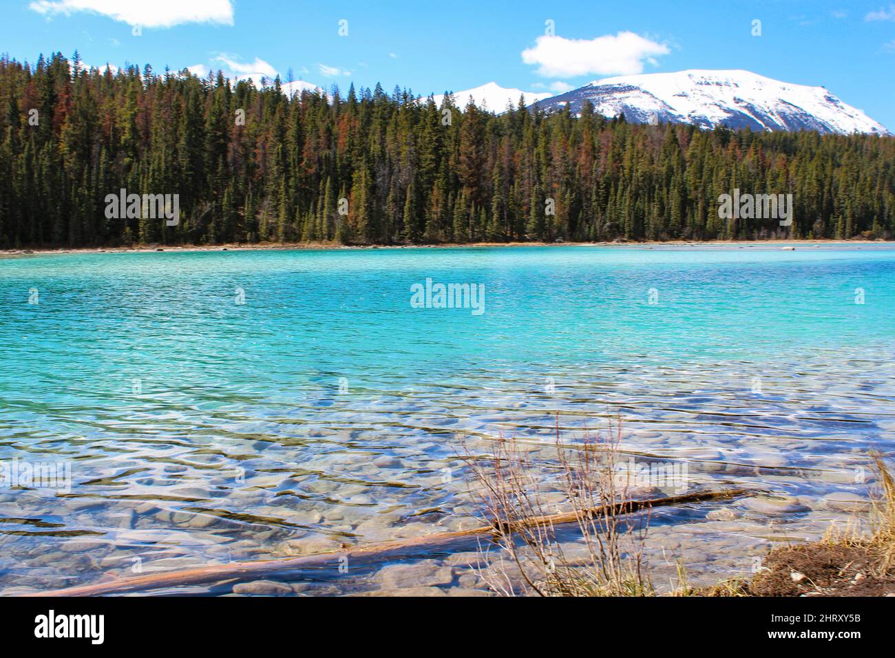 clear teal water in Jasper Alberta Canada Stock Photo - Alamy