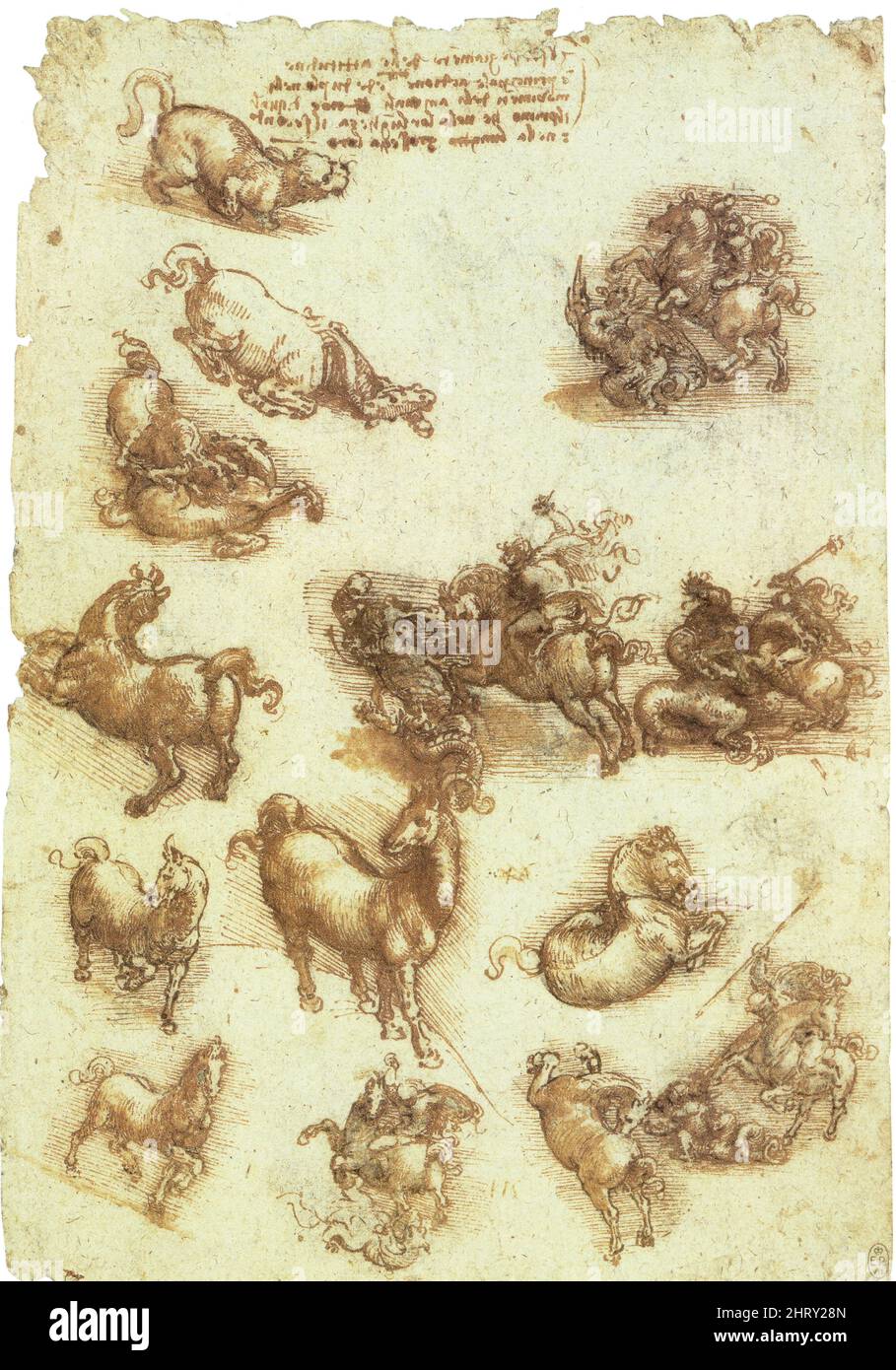 LEONARDO DA VINCI. STUDY OF HORSES . A DRAGON AND THE COMBAT BETWEEN ST ...