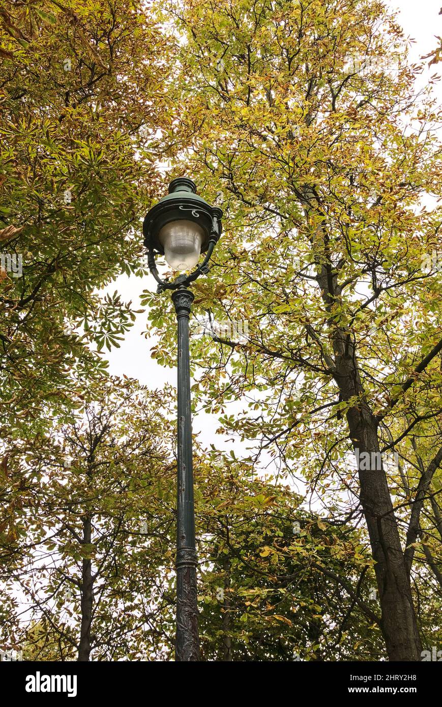Lamp post in a park during autumn in Paris, France Stock Photo - Alamy