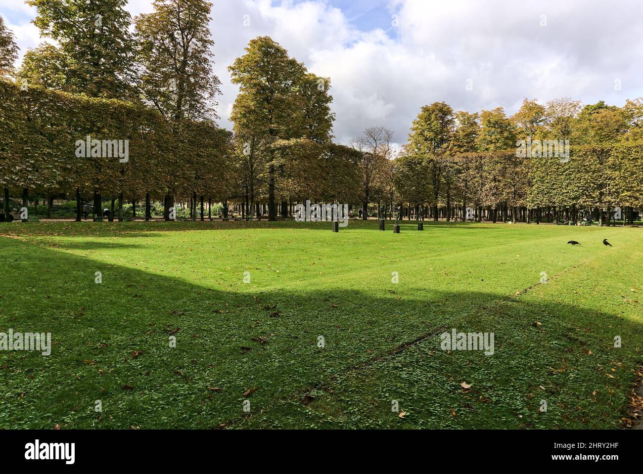 Tree line in a park during autumn in Paris, France Stock Photo - Alamy