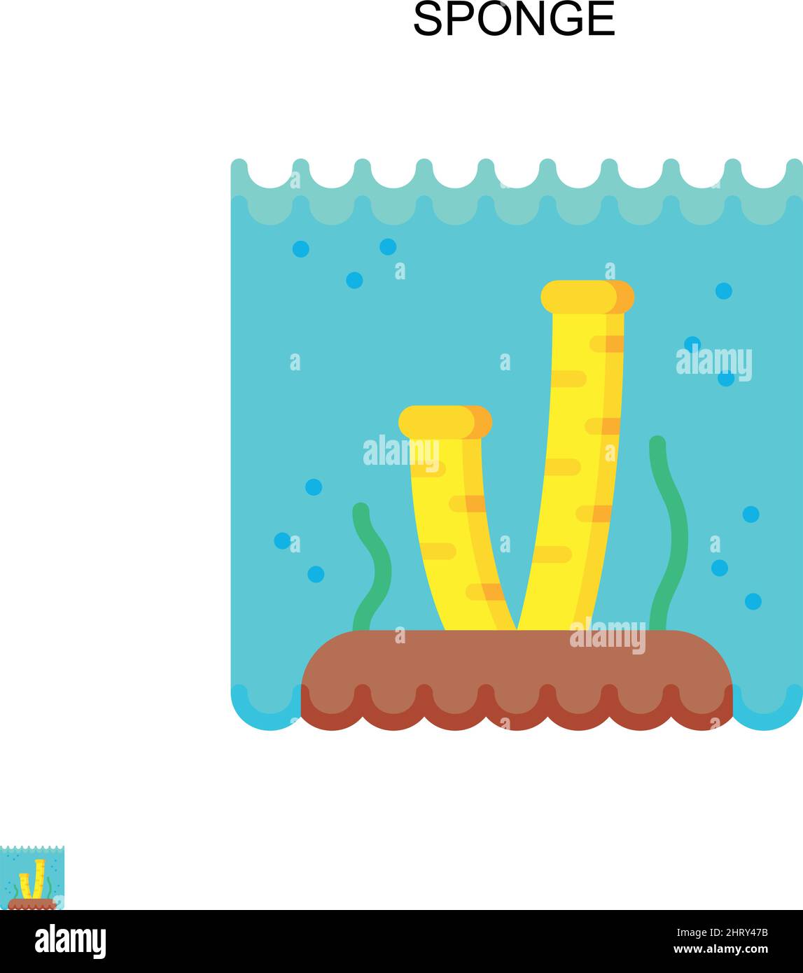 Illustration of the sponge hi-res stock photography and images - Alamy