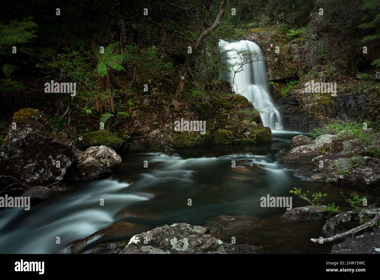 Gloucester Falls located mountains near Gloucester NSW, Australia Stock ...