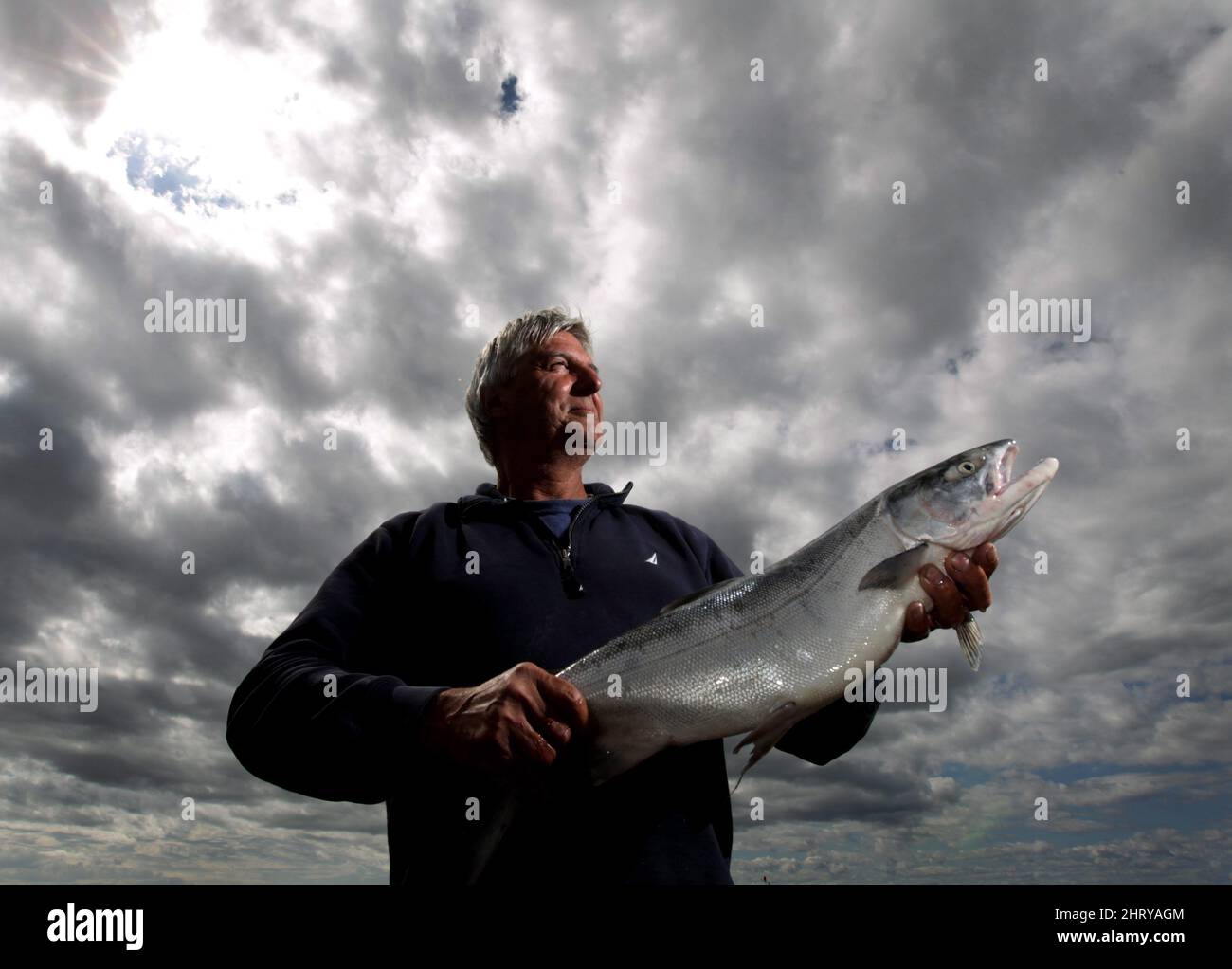 Mike Rekis, of Oceanside Fisheries, holds a sockeye salmon that was ...