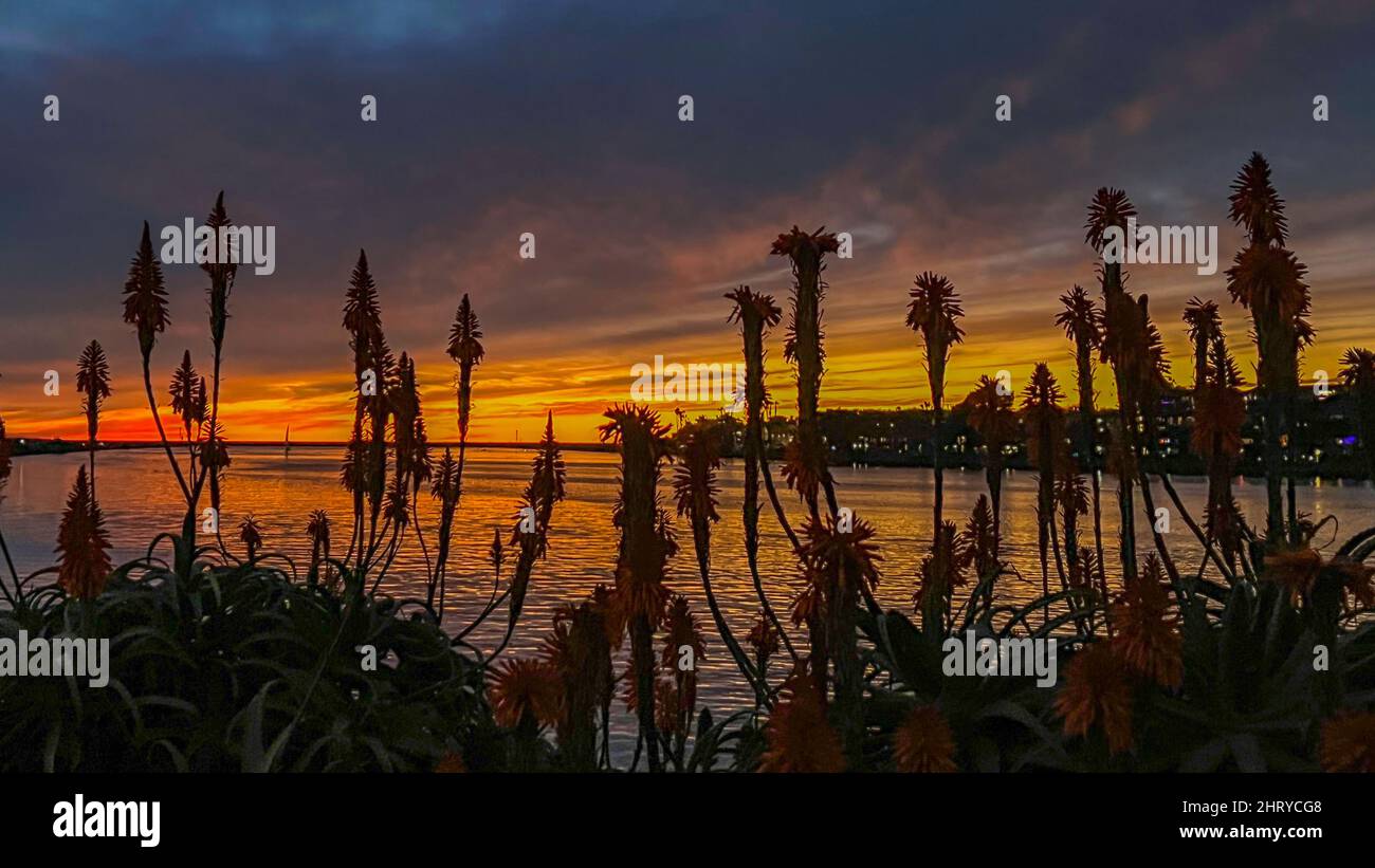 Winter colorful sunset in Southern California Stock Photo - Alamy