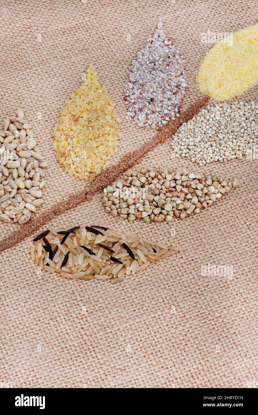 Selection of different and alternative healthy grains in the shape of a ...