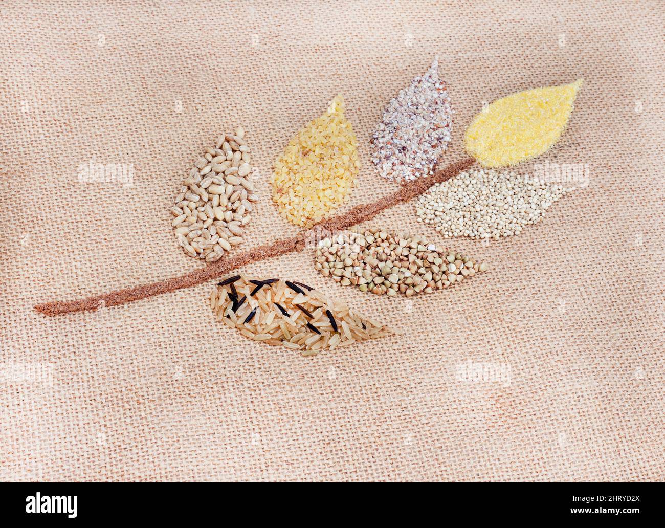 Selection of different and alternative healthy grains in the shape of a ...