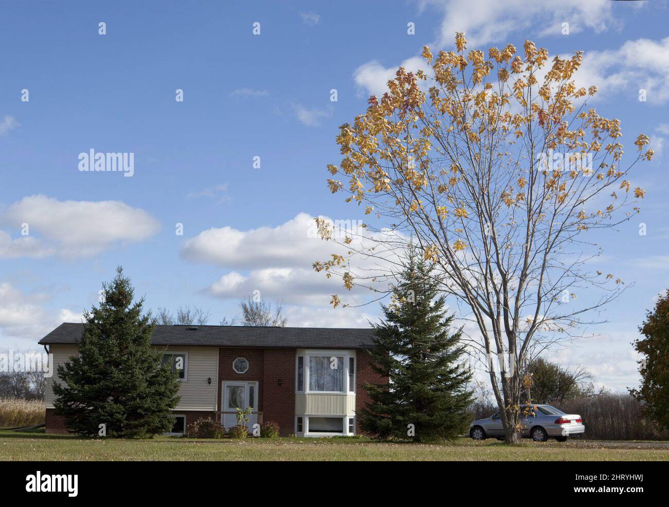 Murder command hi-res stock photography and images - Alamy