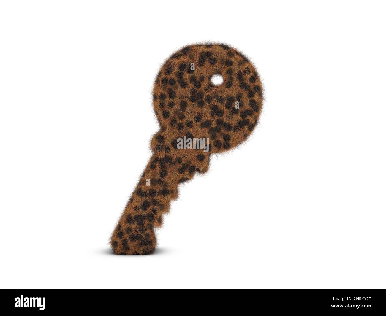 Fur key symbol on a white background. 3d illustration Stock Photo - Alamy