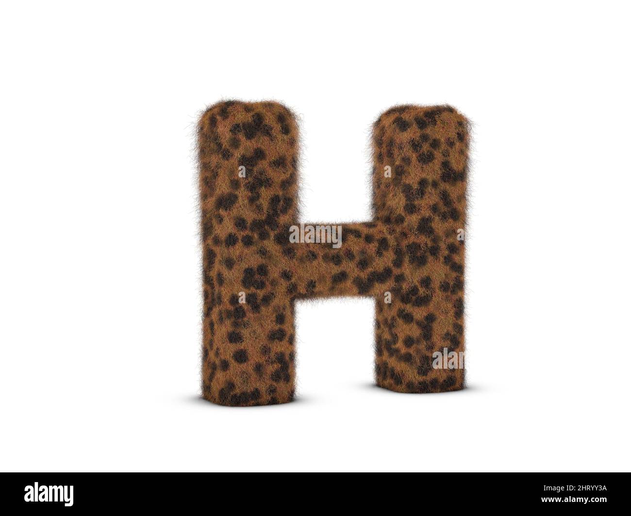 Fur letter H on a white background. 3d illustration Stock Photo - Alamy