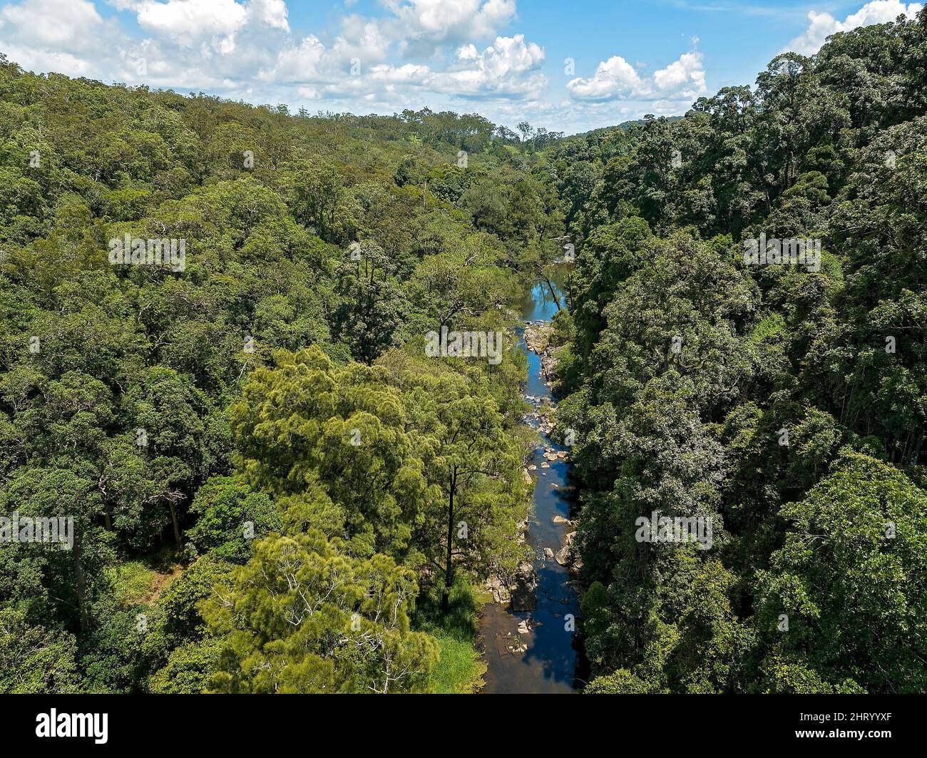 Drone aerial of Broken River flowing through dense national park ...