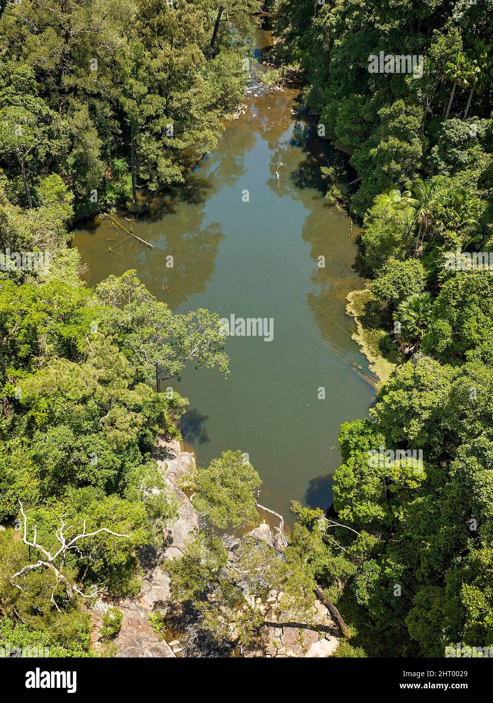 Drone aerial of Broken River flowing through dense national park ...