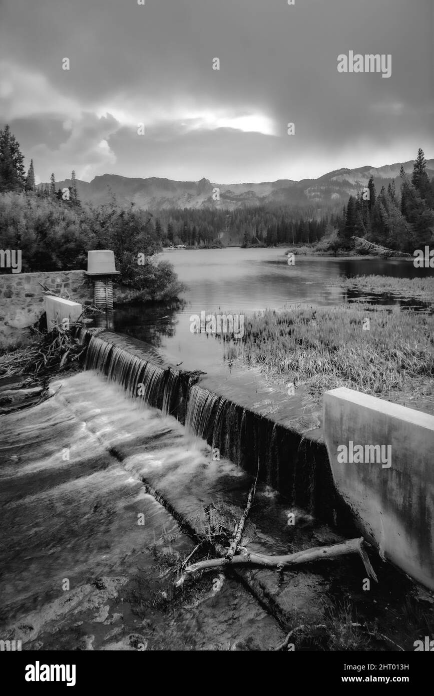 Aerial view of a dam in the forest in daylight, grayscale Stock Photo ...