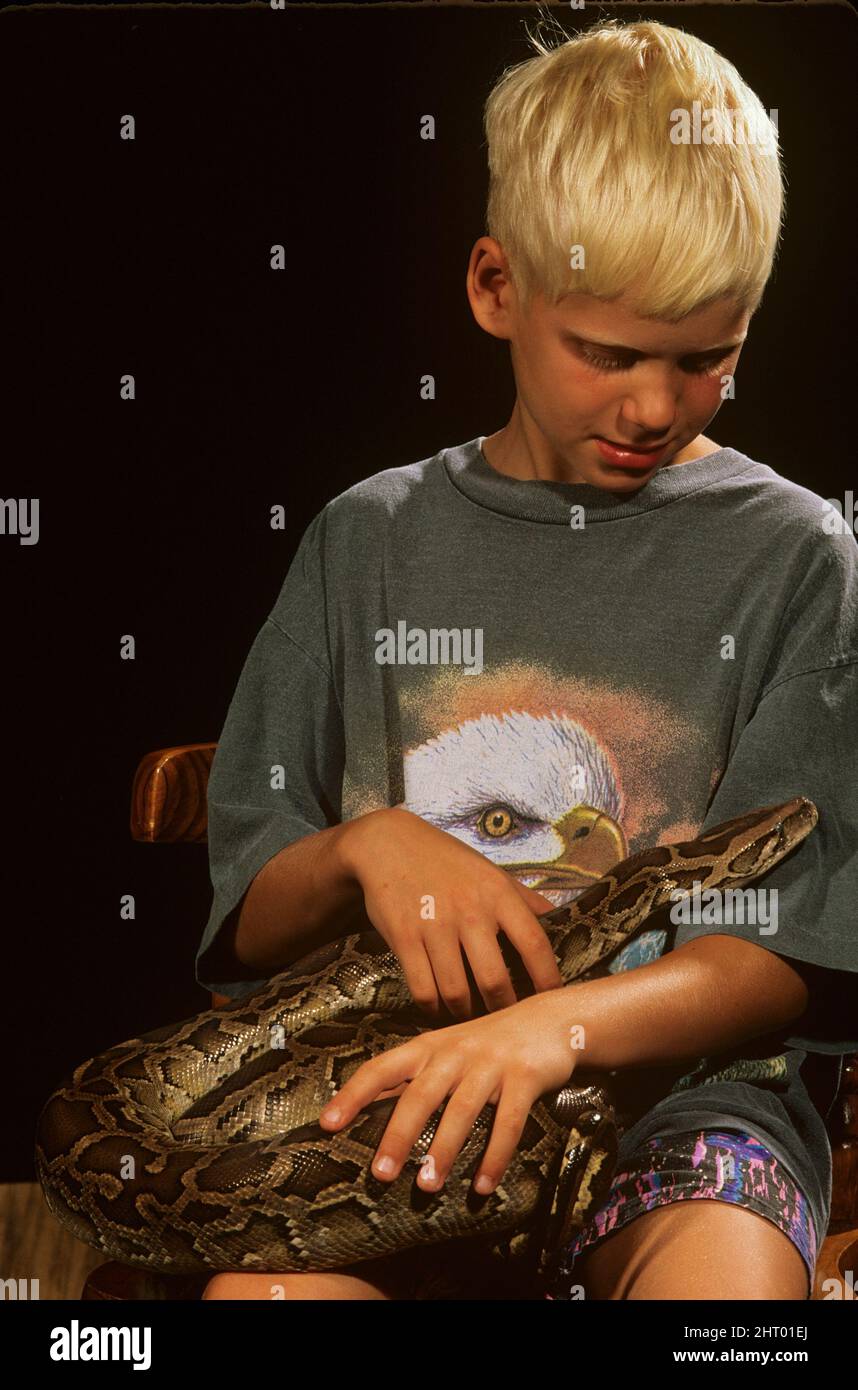 Boa constrictor (Boa constrictor), pet being held by young boy. Model ...