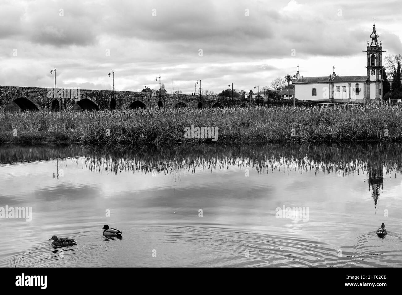 Ducks bridge Black and White Stock Photos & Images - Alamy