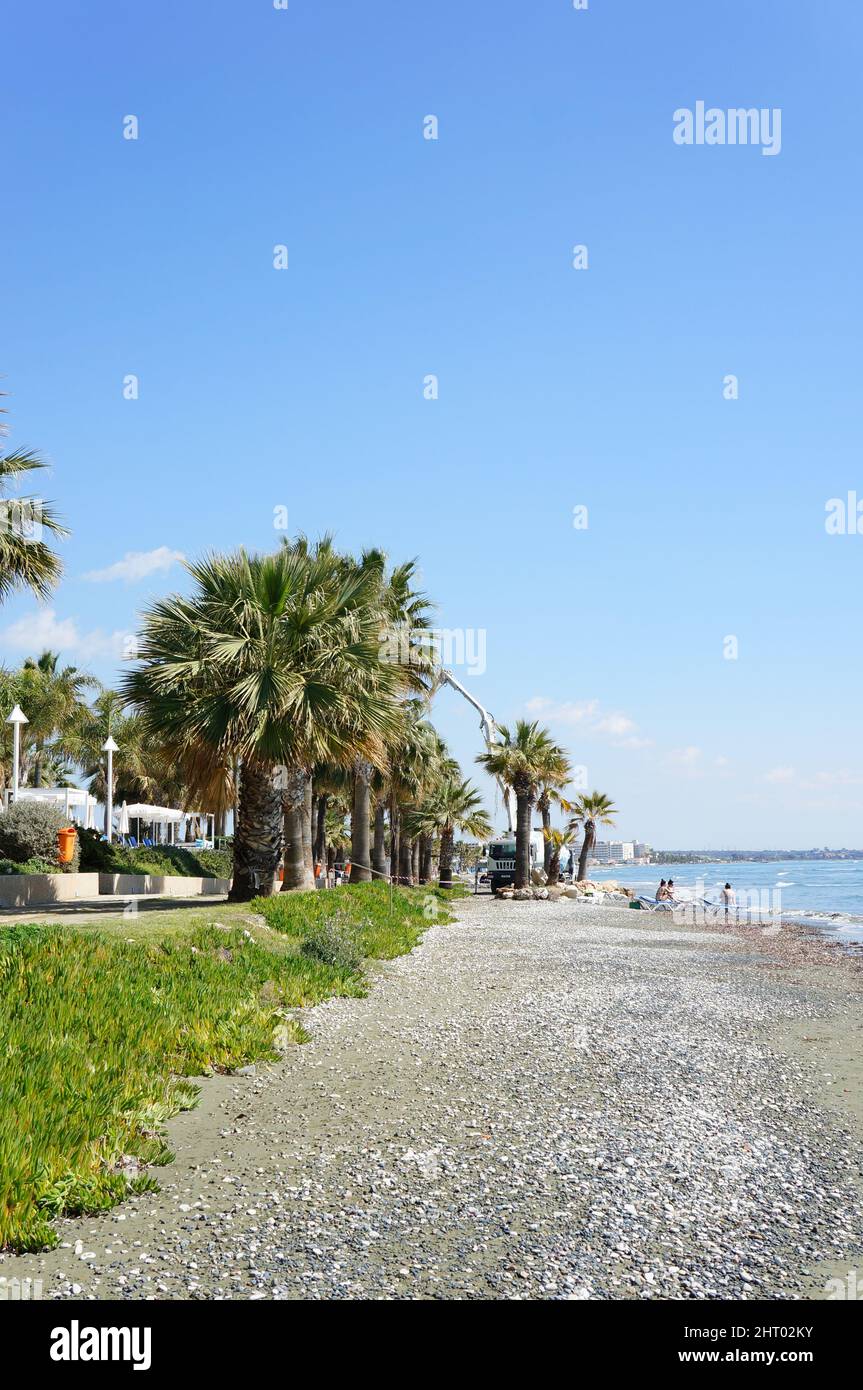 Sunny beach with palm trees and people relaxing in Larnaca, Cyprus ...