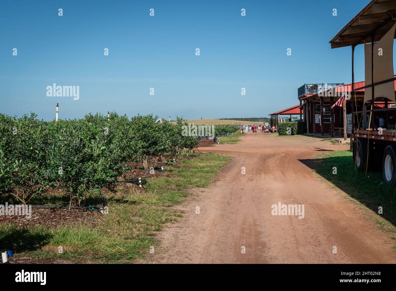 Soiled landscape hi-res stock photography and images - Alamy