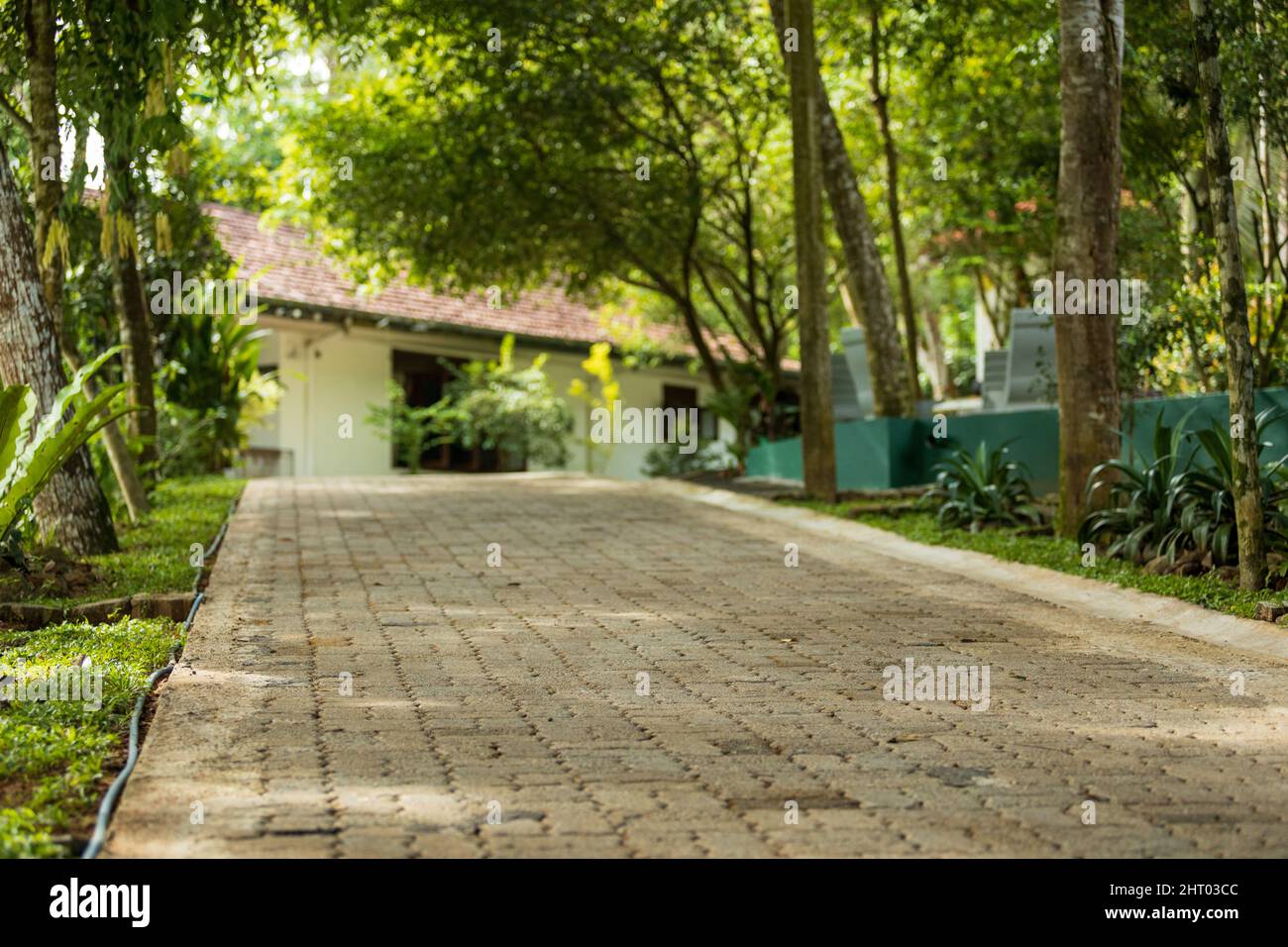 Brick pathway leading to the small house in the park with dense ...
