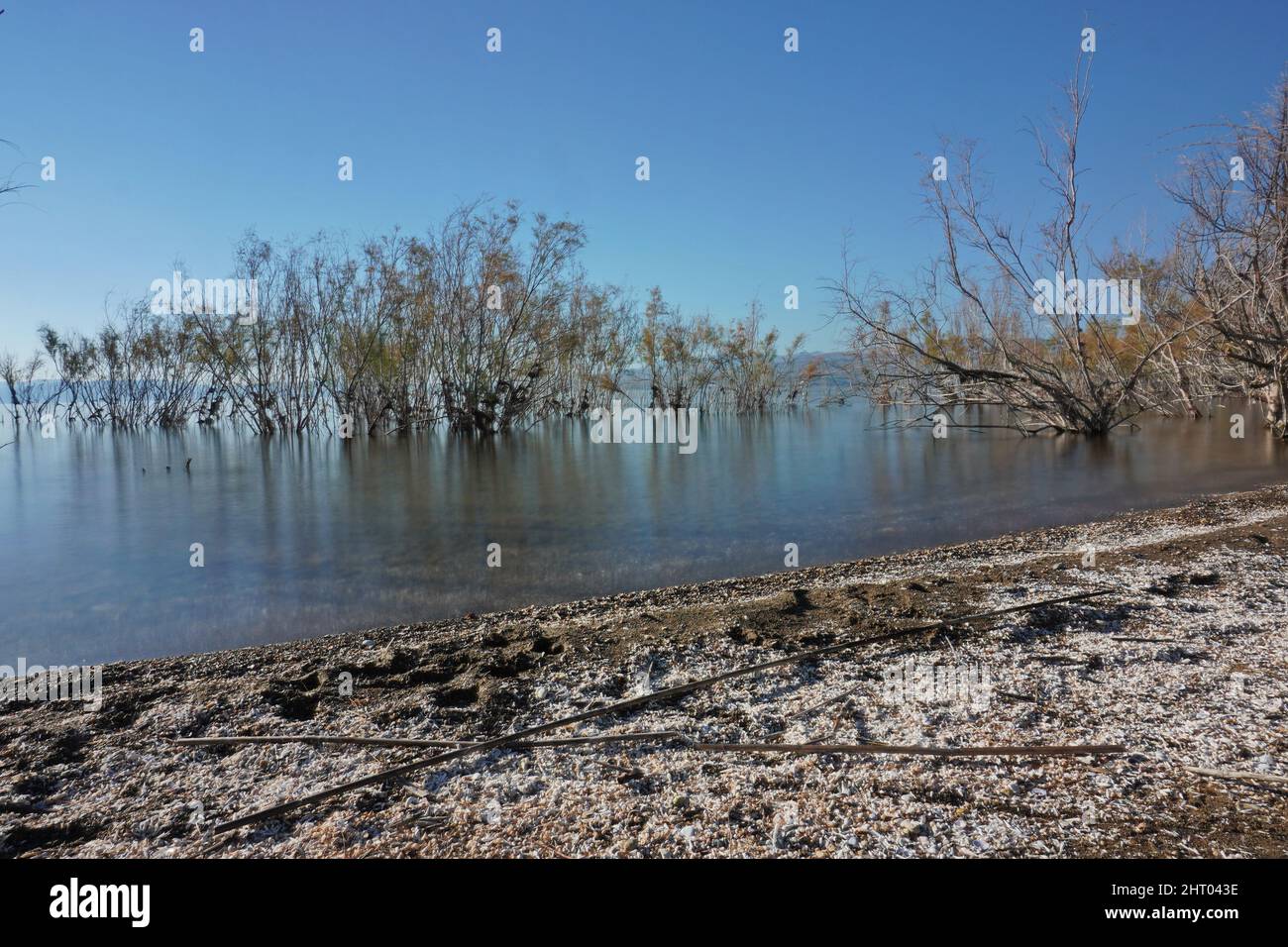 Tranquil scenery of the shores of the Sea of Galilee, Israel Stock ...