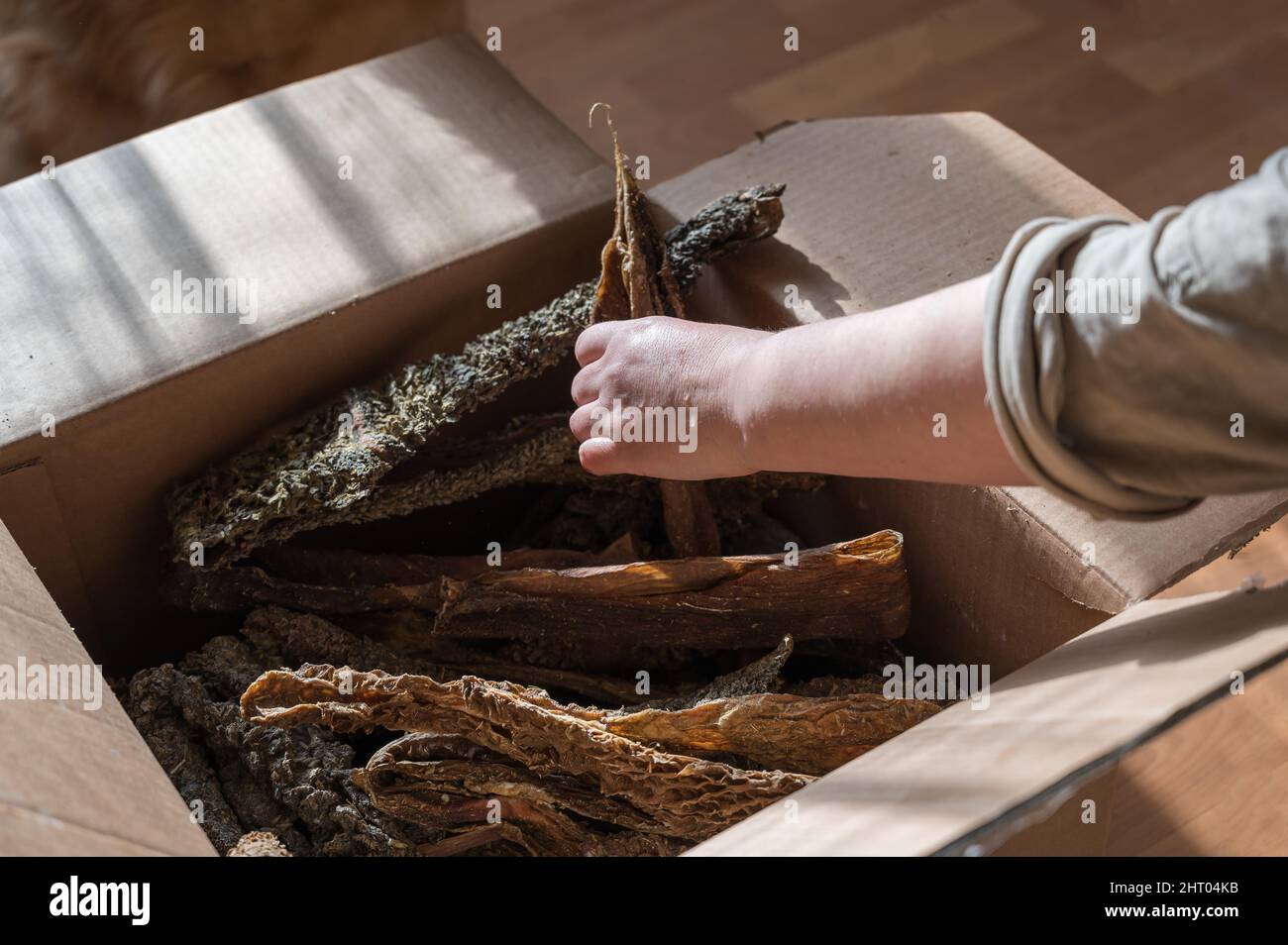 Chewed box hi-res stock photography and images - Alamy