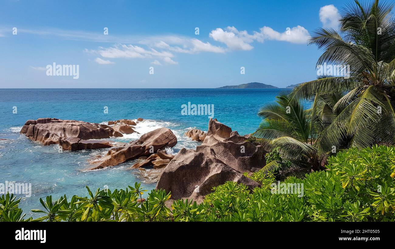 Idyllic coast on paradise tropical island with palm trees and turquoise ...