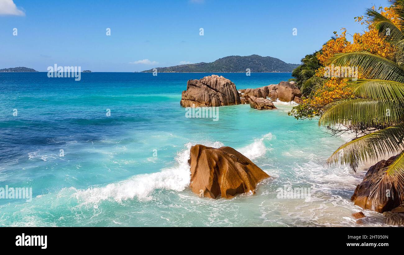 Idyllic coast on paradise tropical island with palm trees and turquoise ...
