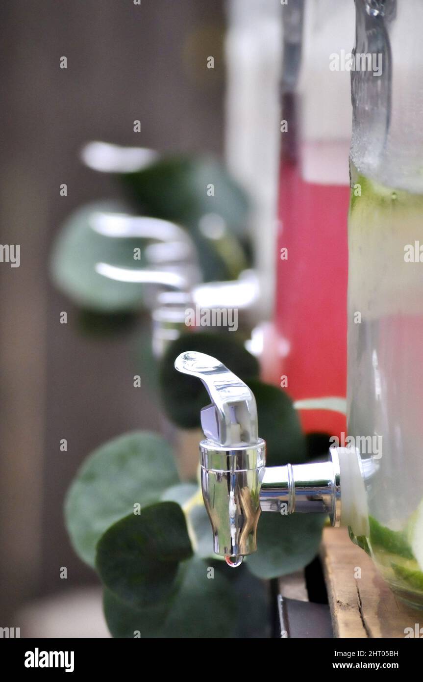 Selective of water taps near the green plants Stock Photo - Alamy