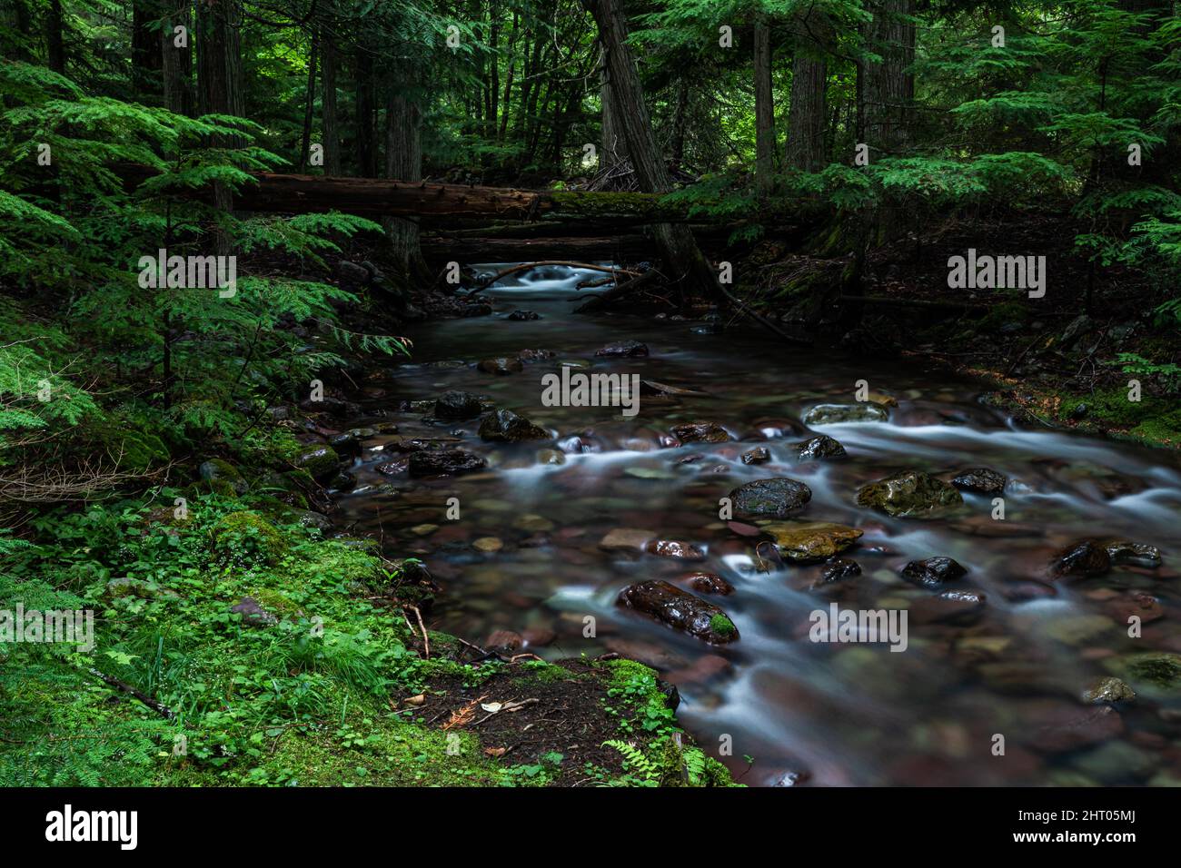 Stunning view of Jackson Creek in Glacier National Park, Montana Stock ...