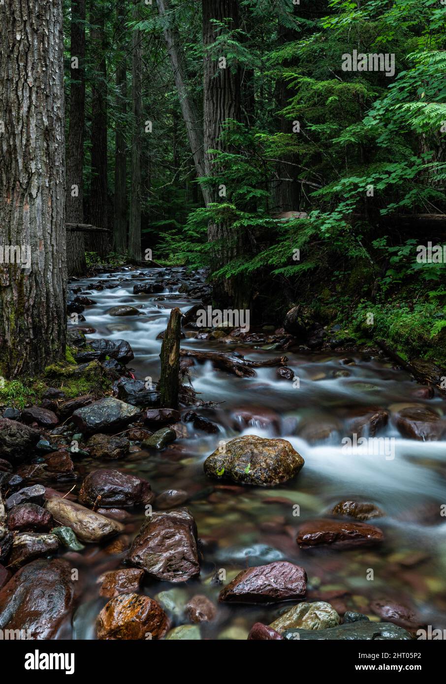 Stunning view of Jackson Creek in Glacier National Park, Montana Stock ...